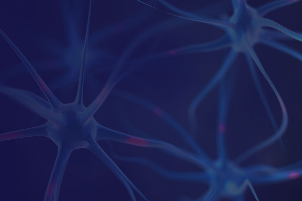 Unique brain science to improve vision